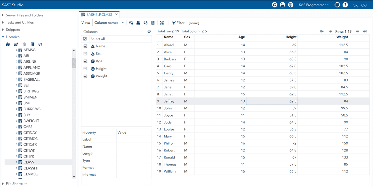 Getting Started with SAS Programming - SAS Studio and Basic Syntax | Ayan's Blog